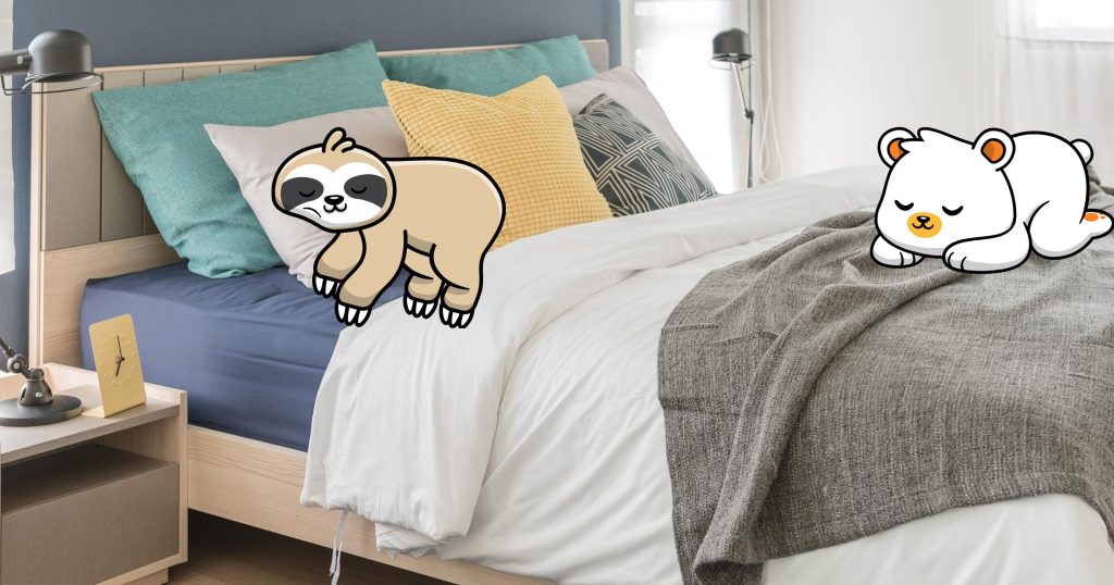 Biggest Bed Sizes Available with Extra Space - SleepAnimal